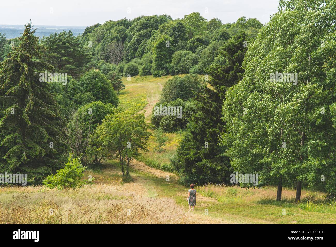The nature scenery of Lithuania. Stunning green and forest landscape ...
