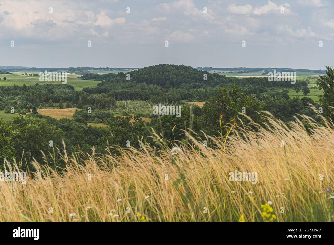 The nature scenery of Lithuania. Stunning green and forest landscape ...
