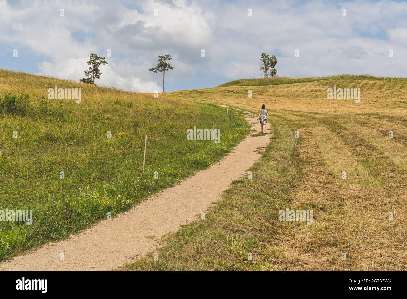 The nature scenery of Lithuania. Stunning green and forest landscape ...