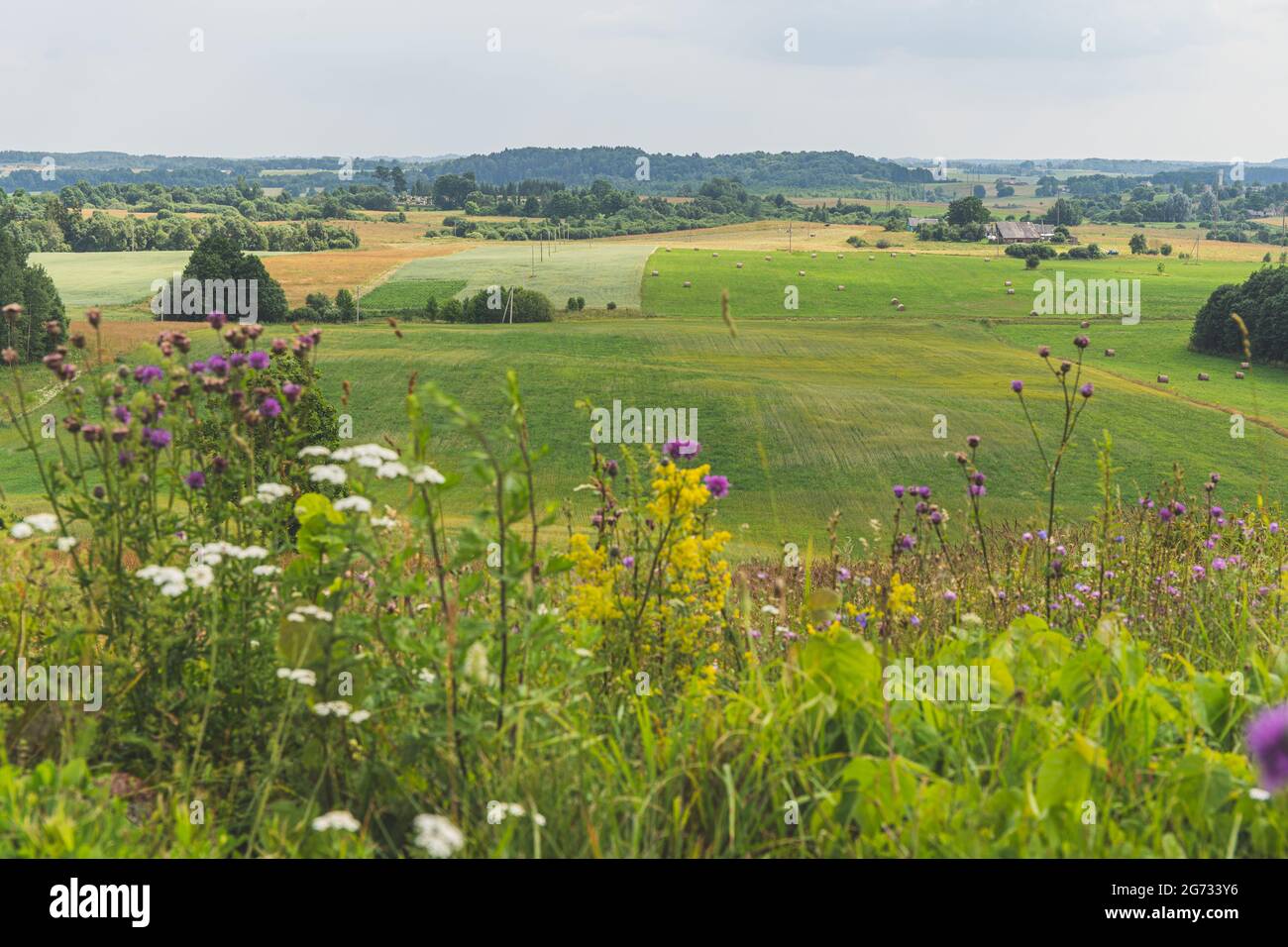 The nature scenery of Lithuania. Stunning green and forest landscape ...