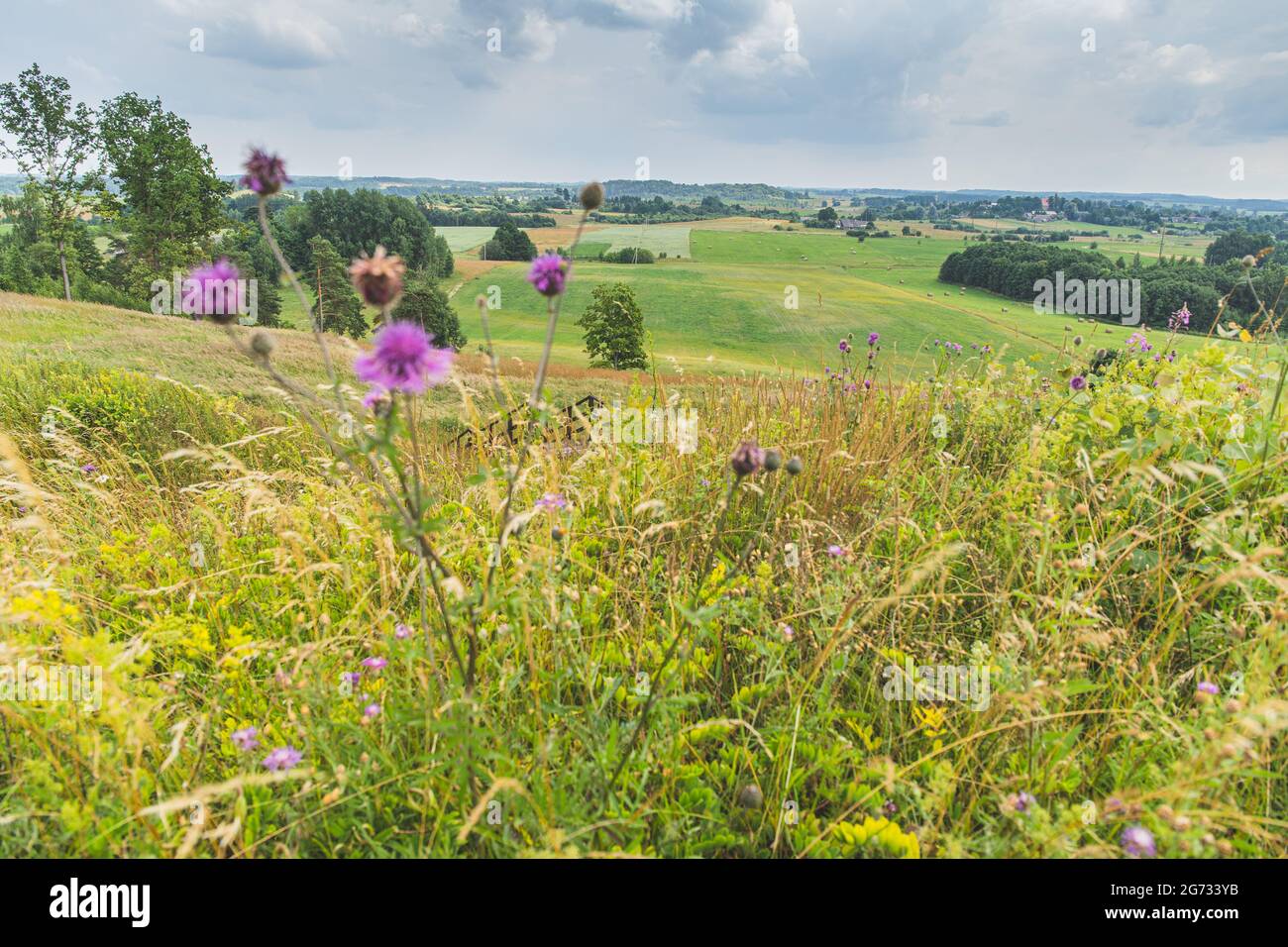 The nature scenery of Lithuania. Stunning green and forest landscape ...