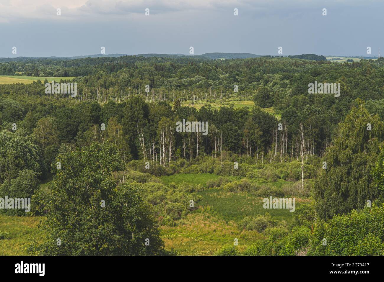 The nature scenery of Lithuania. Stunning green and forest landscape ...