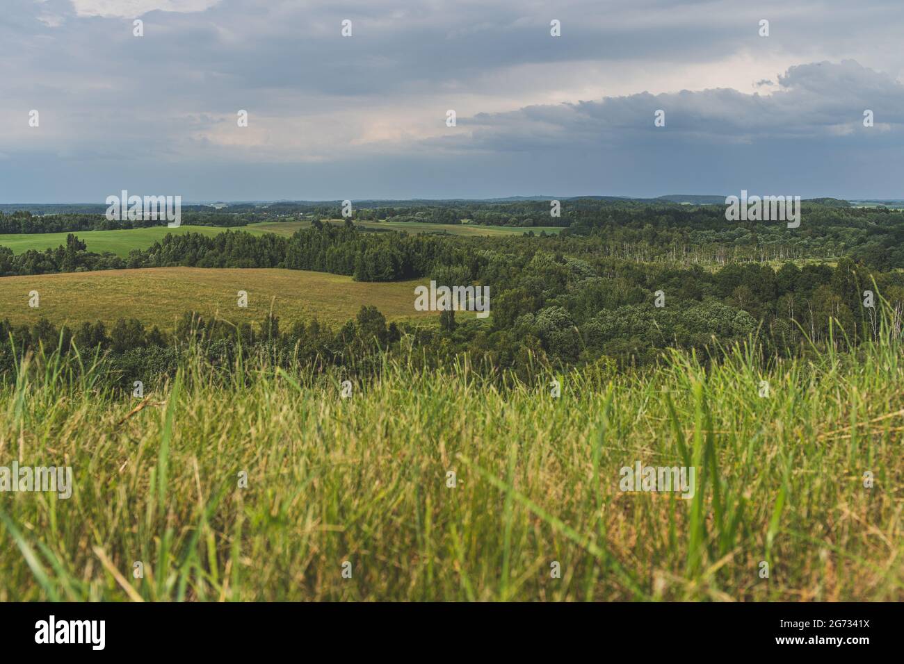 The nature scenery of Lithuania. Stunning green and forest landscape ...
