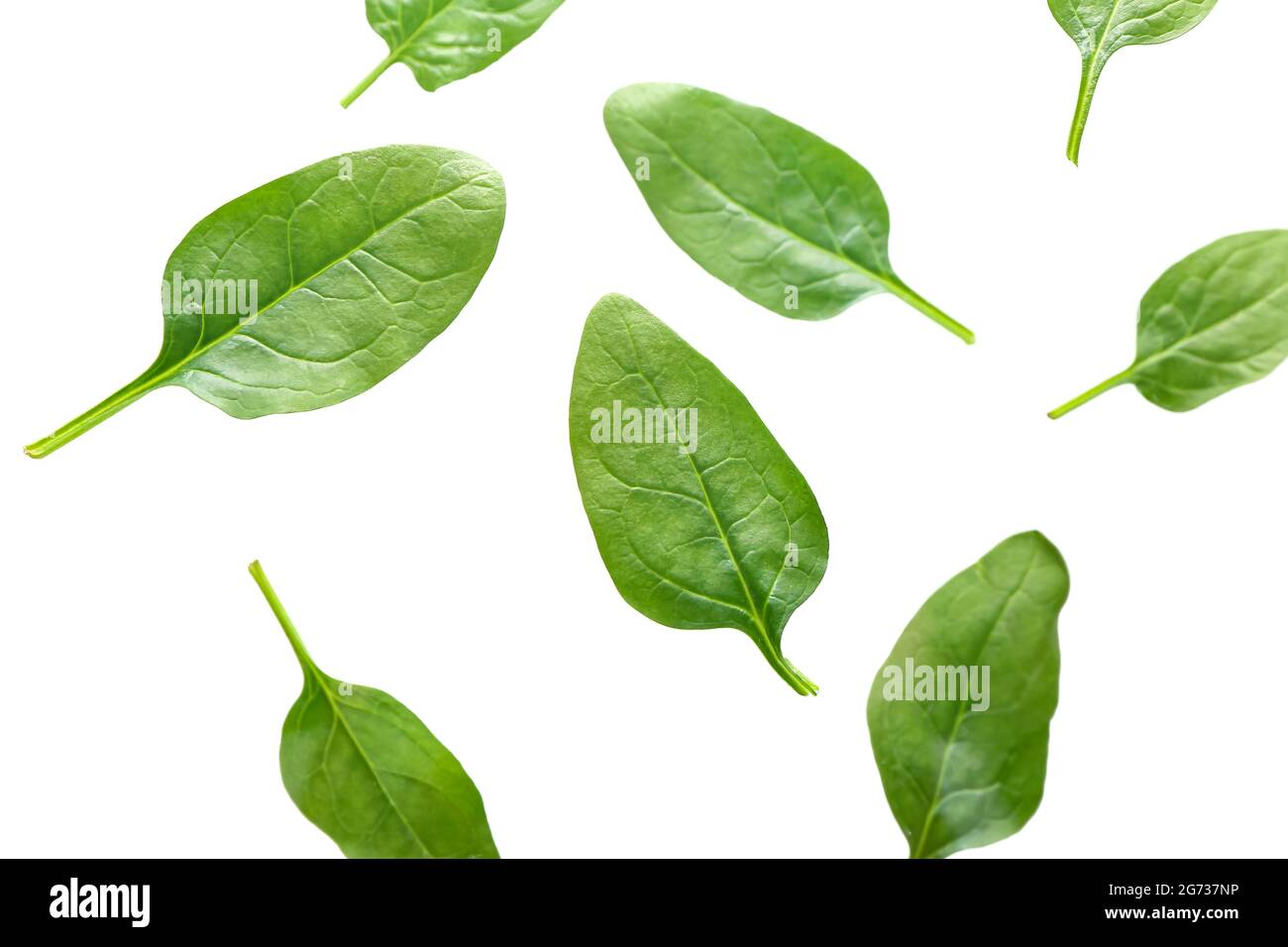 Flying spinach leaves on white background Stock Photo - Alamy