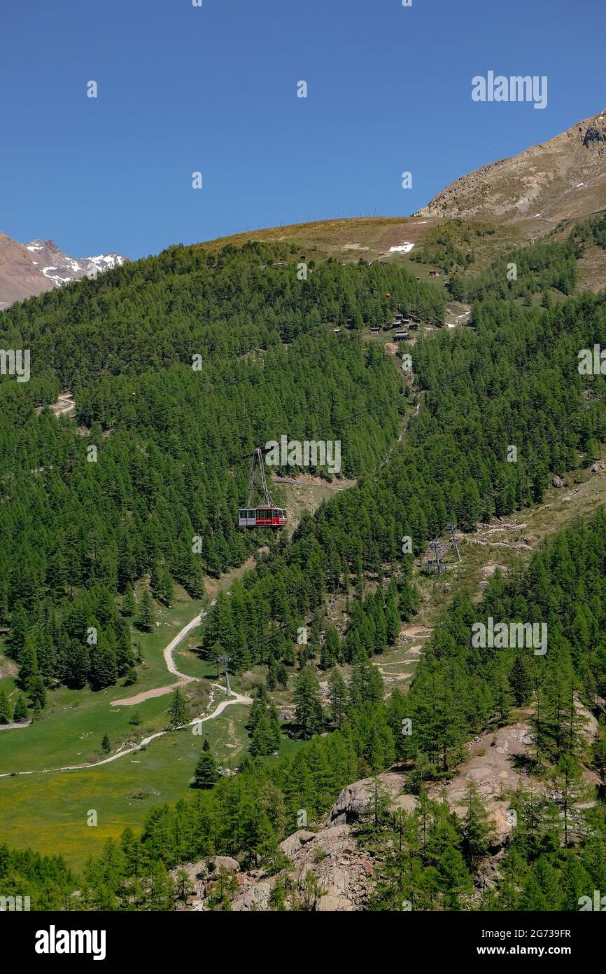 Panorama View of the Swiss Alps with a Forest and a Meadow - Furi ...