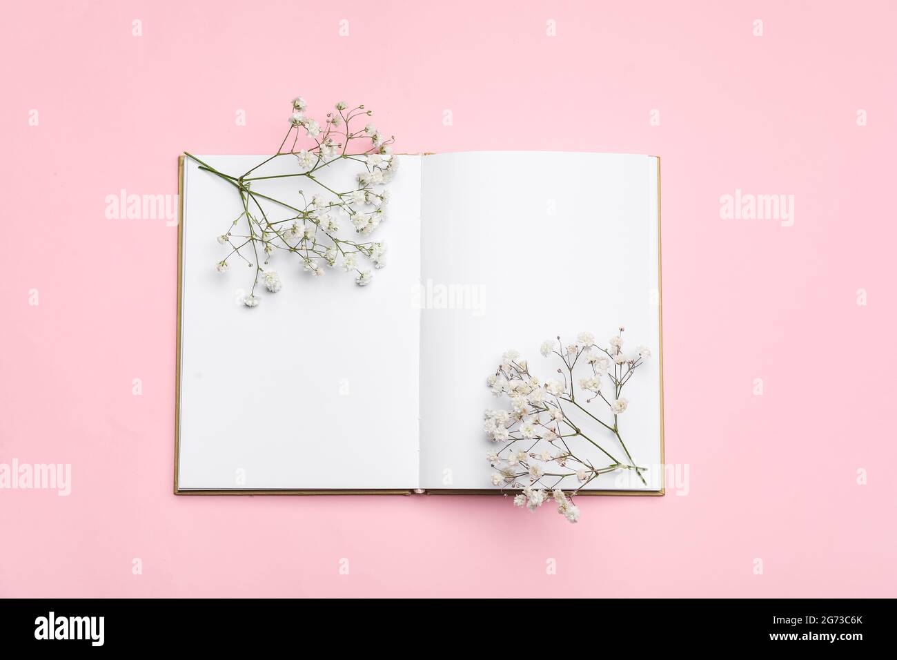 Beautiful gypsophila flowers and blank book on color background Stock ...
