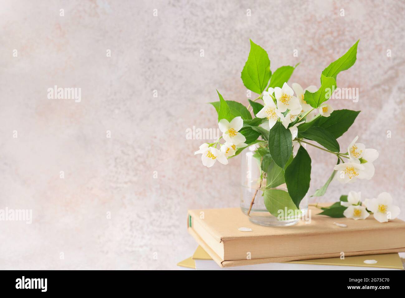 Composition with books and beautiful jasmine flowers on grunge ...