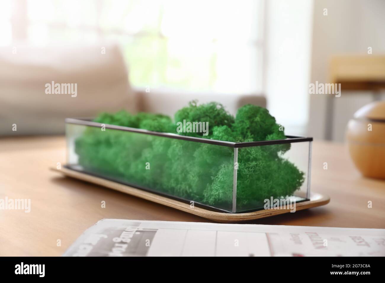 Container with decorative green moss on table in room Stock Photo - Alamy