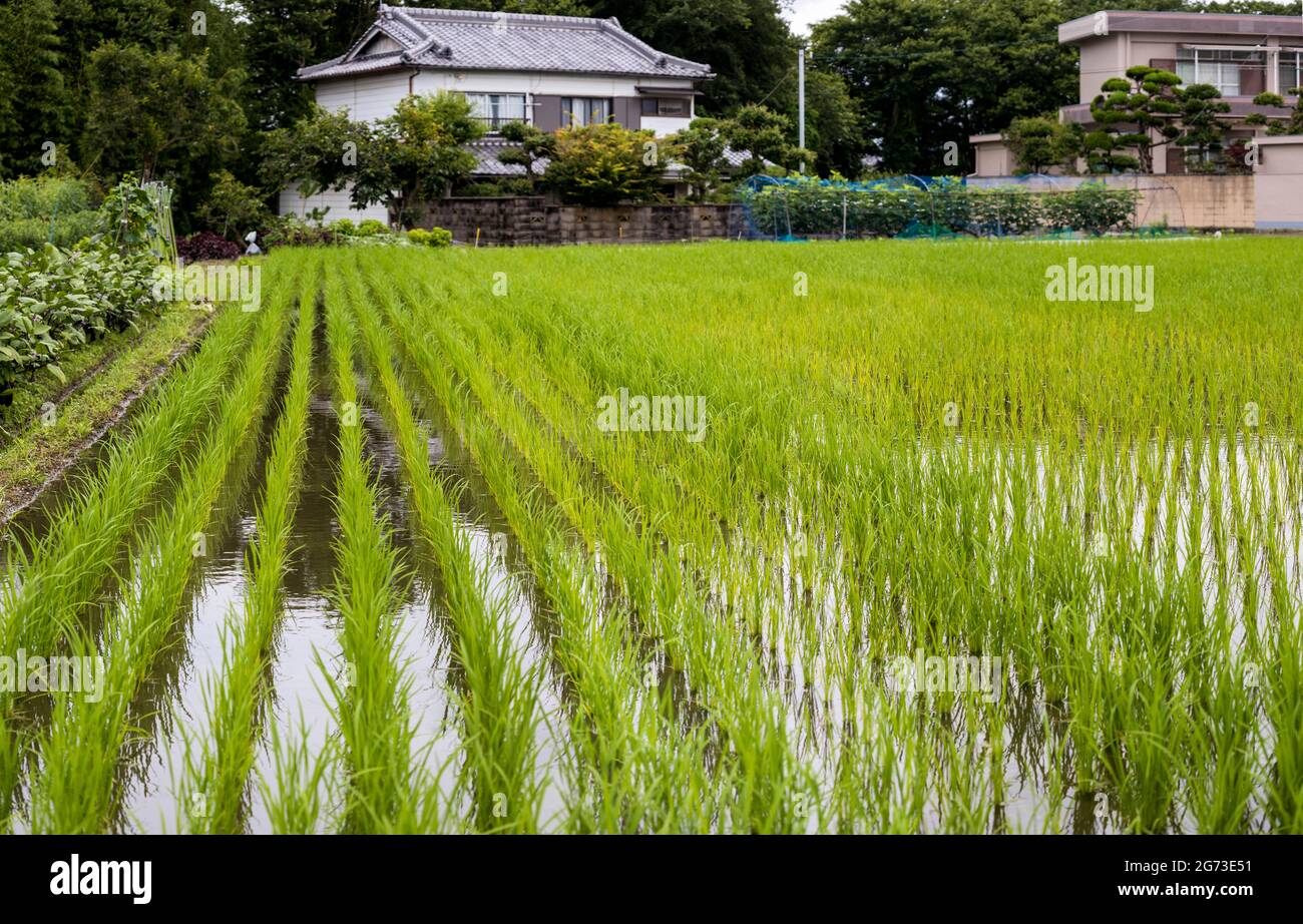 Japanese neighborhood hi-res stock photography and images - Alamy