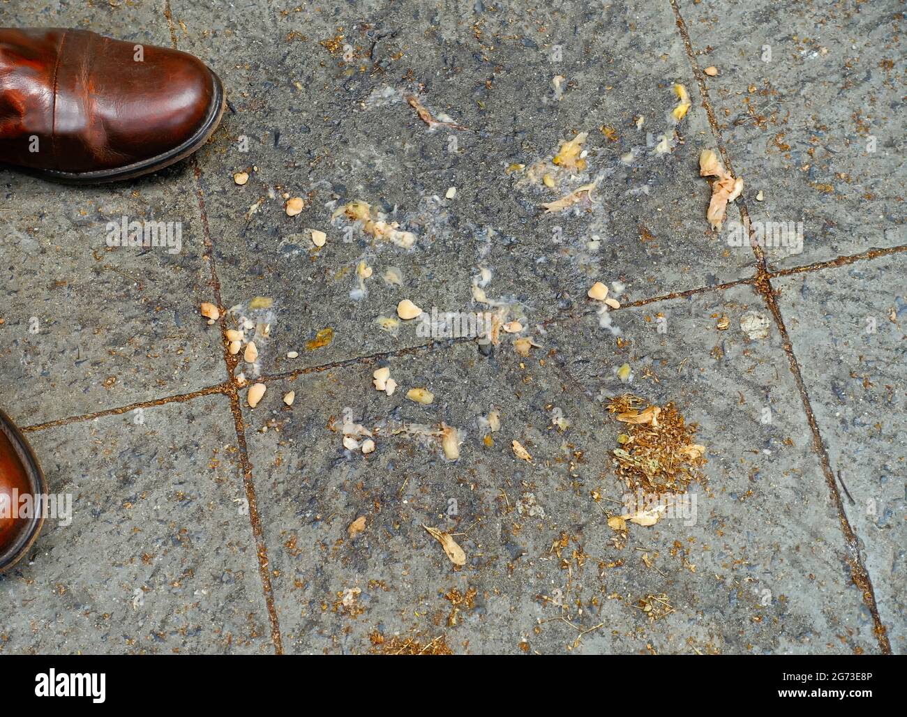 Vomit pavement hi-res stock photography and images - Alamy