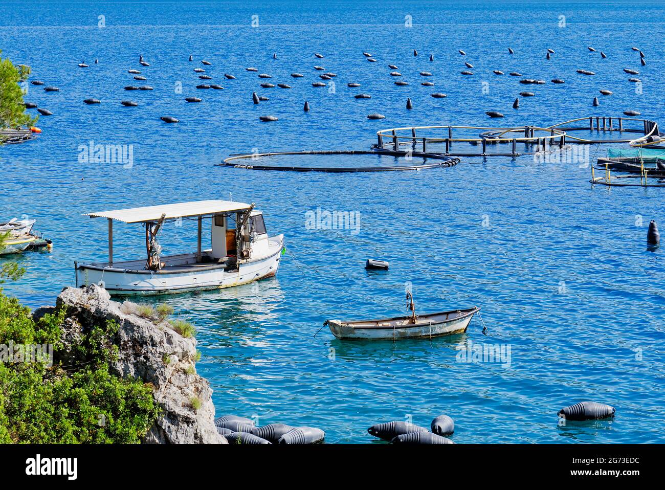 Mussels farm cultivation in Adriatic sea during summer. Croatia Stock ...