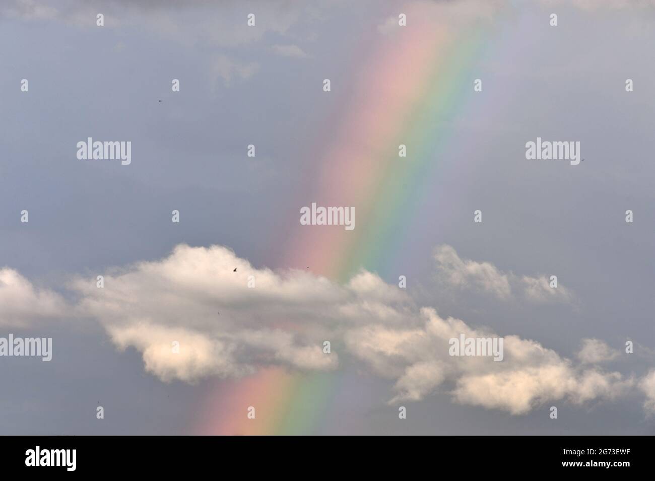 rainbow on a cloudy sky. foggy day, scenery, rainbow, climat, cumulus ...