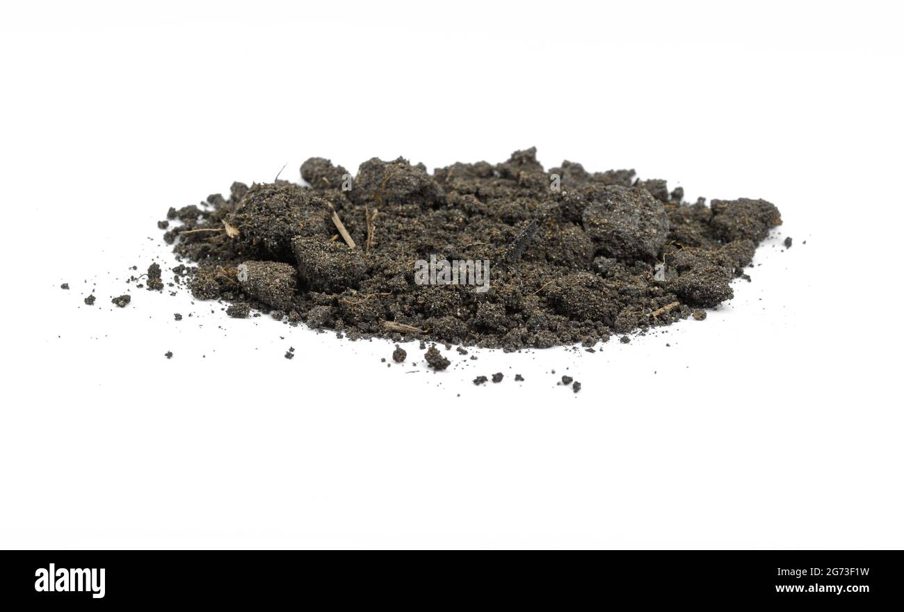 Organic soil isolated on white background. Dirty earth on white ...