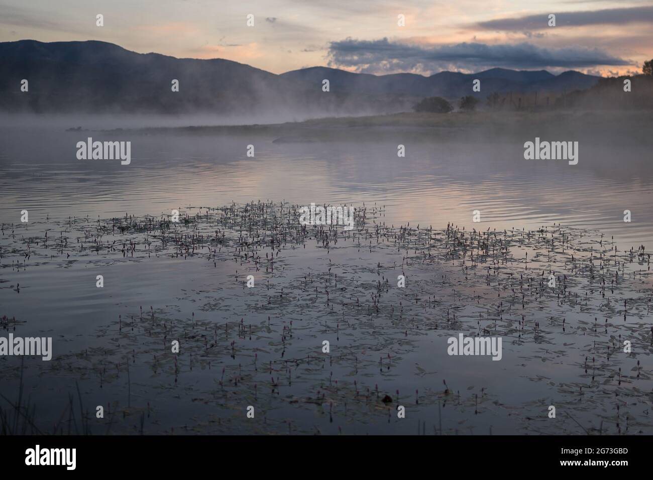 Scenic sunset at a lake bay Stock Photo - Alamy