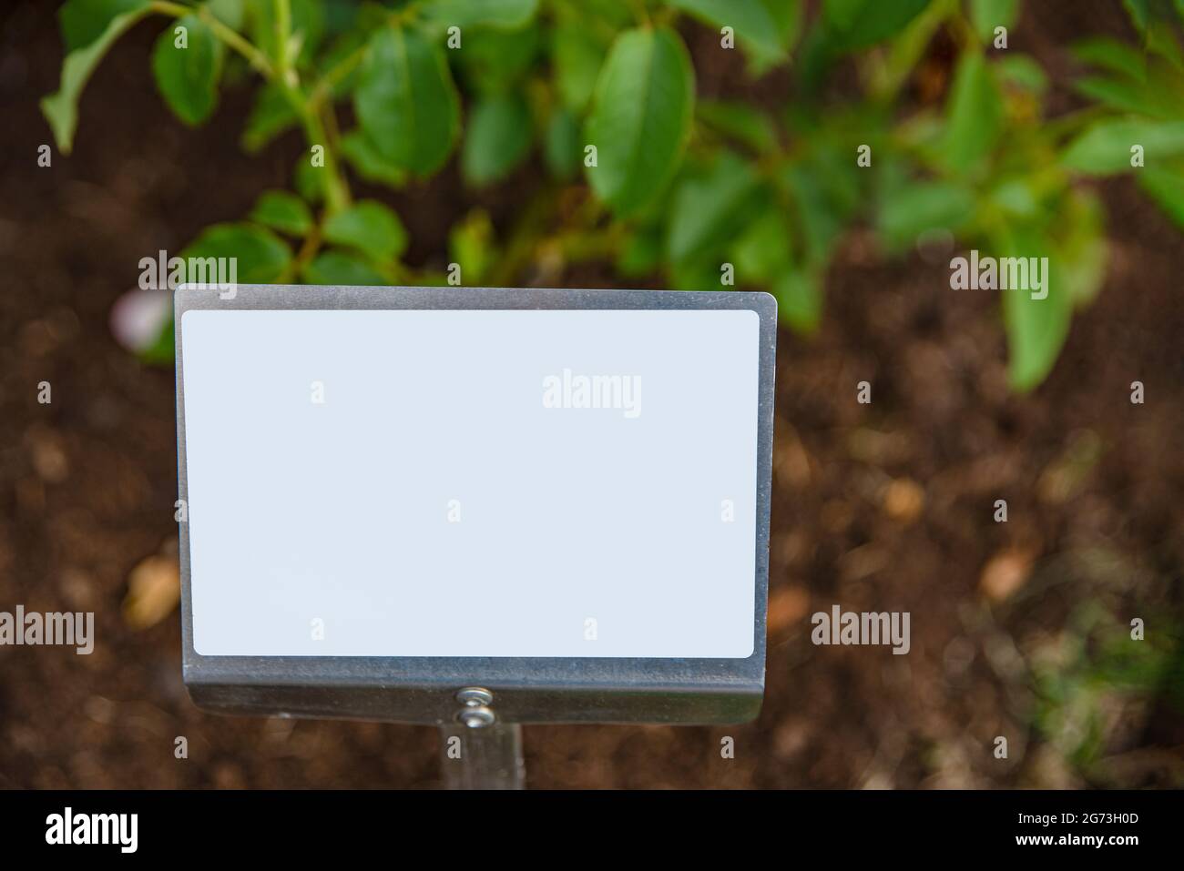 Empty sign in the vegetable garden. Plate for price or text insertion ...