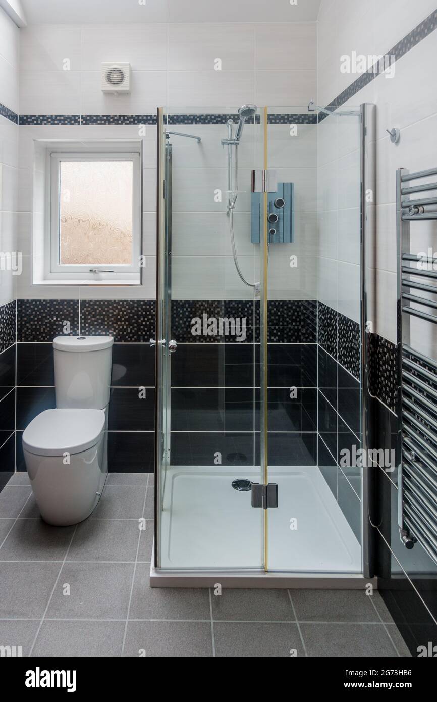 Modern WC with shower and glass doors Stock Photo - Alamy