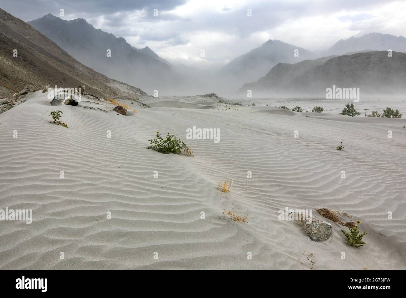 Cold desert hi-res stock photography and images - Alamy
