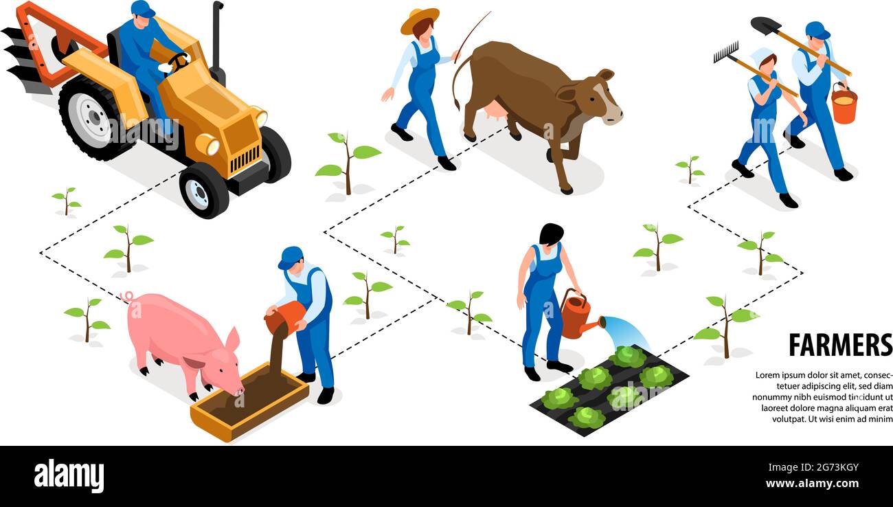 Isometric farmer horizontal infographics with flowchart composition of ...