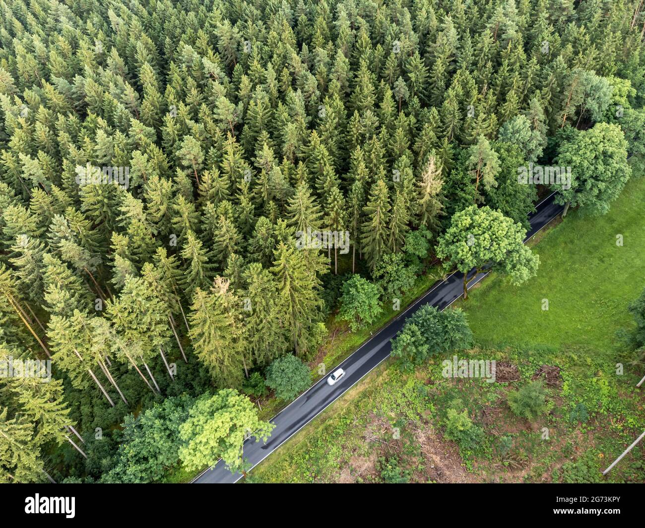 Aerial view of a forest with a road and car Stock Photo - Alamy