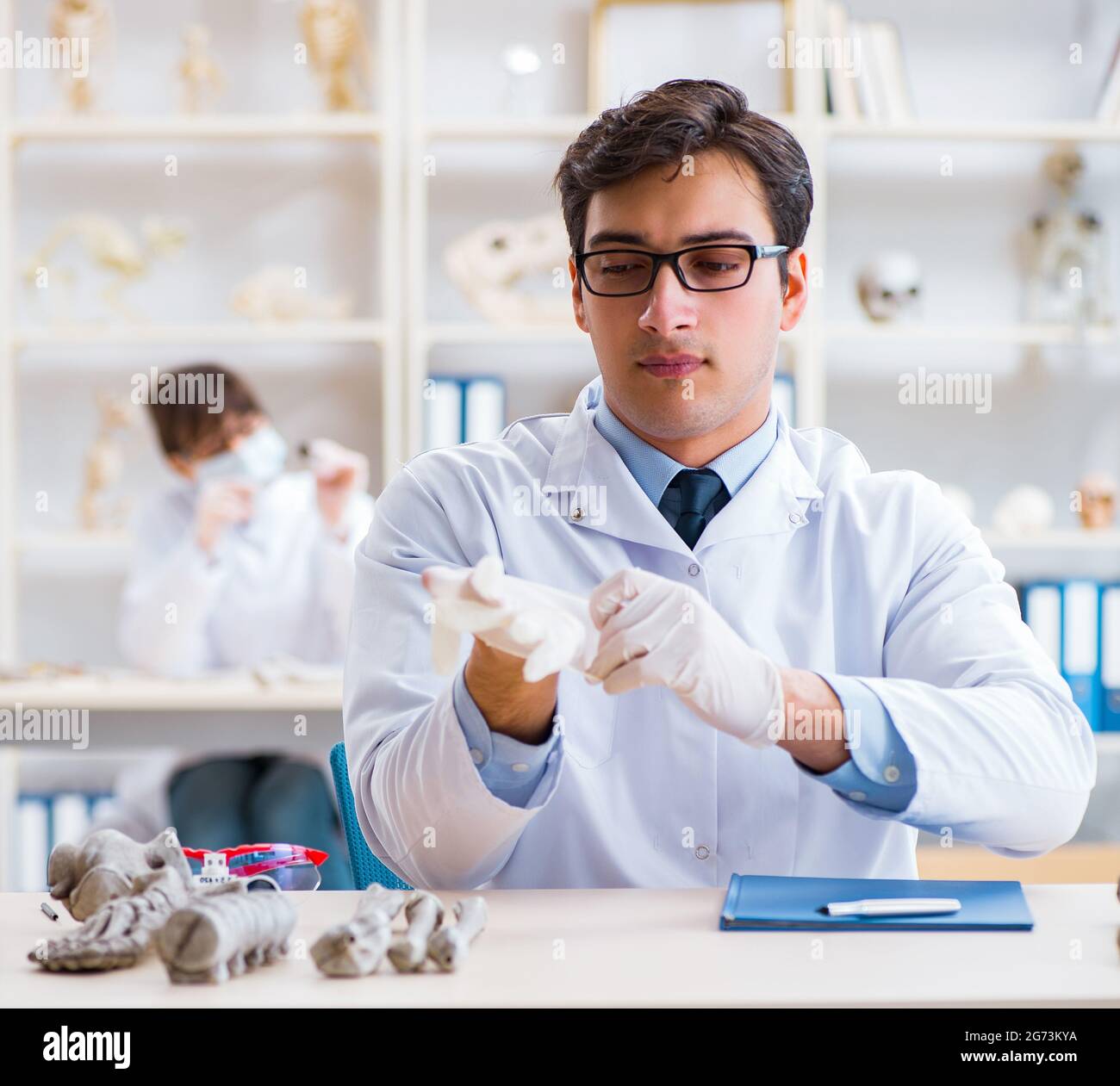 The professor studying human skeleton in lab Stock Photo - Alamy
