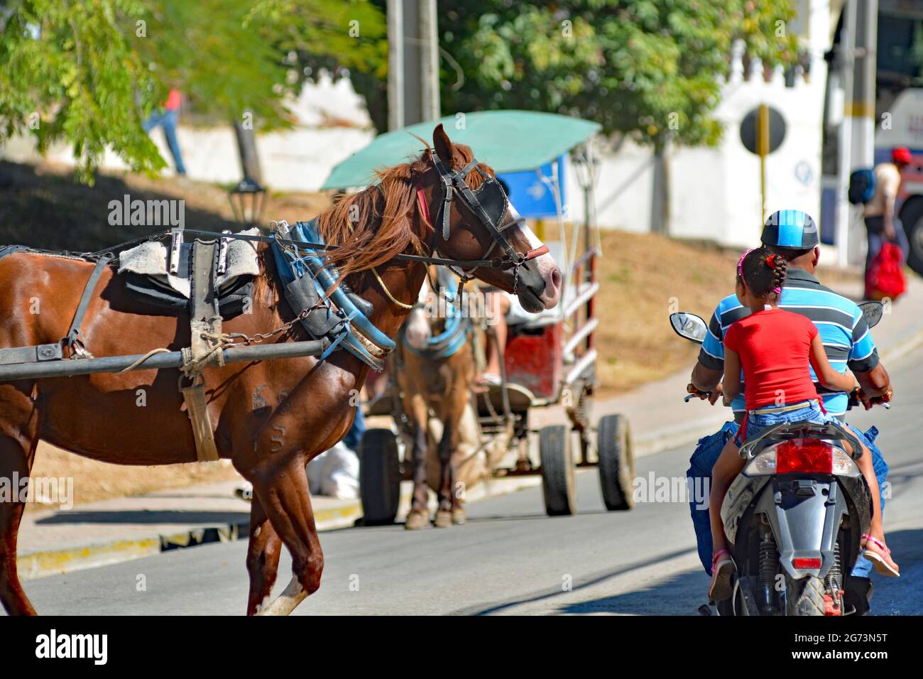 Cuban horsemen hi-res stock photography and images - Alamy