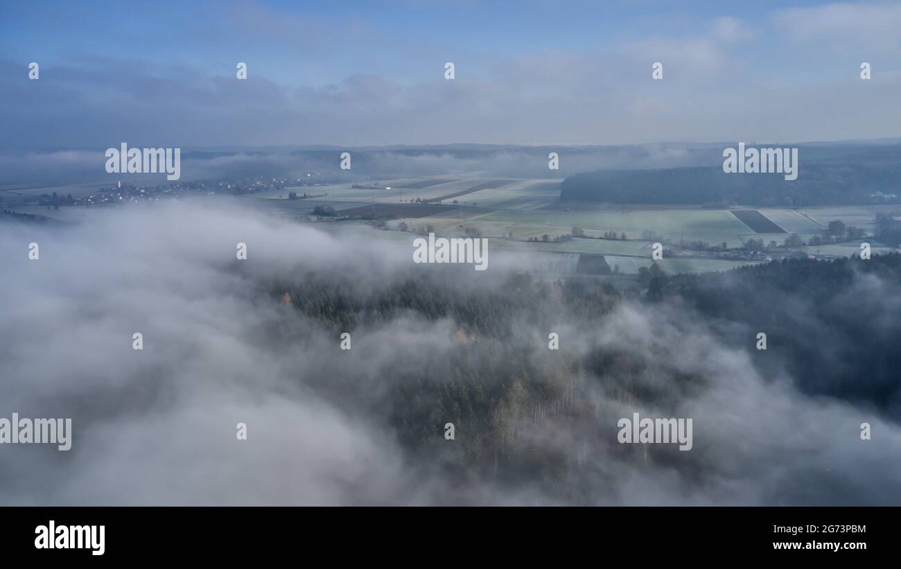 Aerial view of white mist covering agricultural fields and dense trees ...