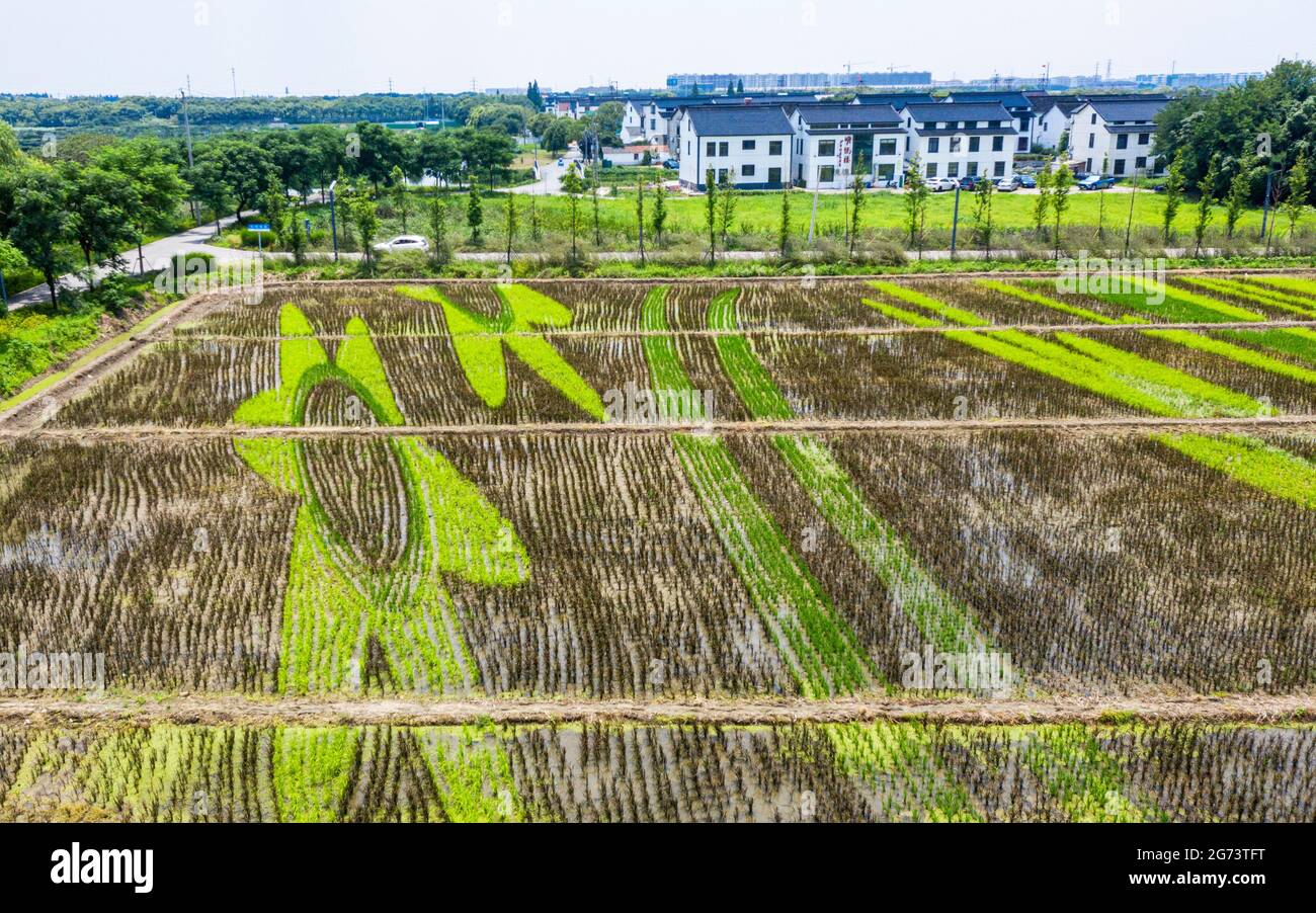SUZHOU, CHINA - JULY 10, 2021 - An aerial photo shows a rice field ...