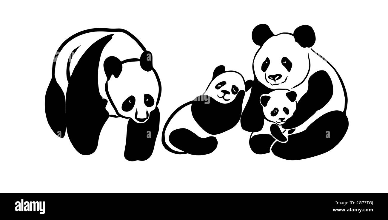 The panda family. Mom dad and baby panda. Vector illustration Stock ...