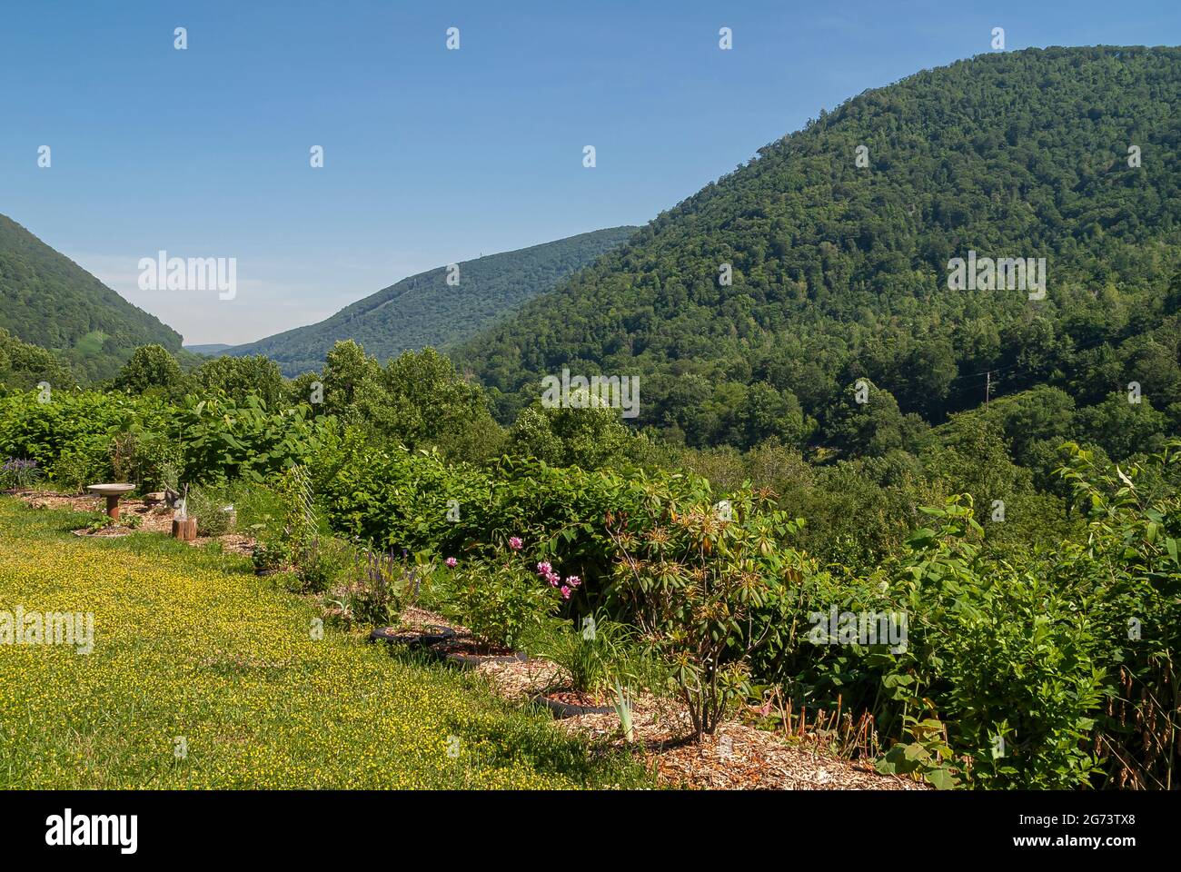 Conemaugh hi-res stock photography and images - Alamy