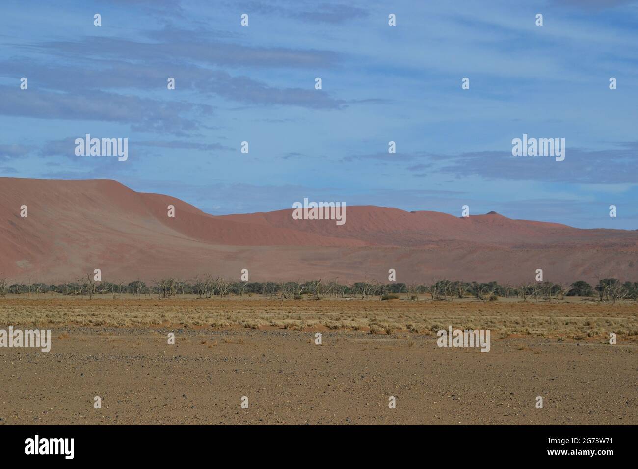 A landscape of a golden desert under a cloudy sky in Namibia Stock ...