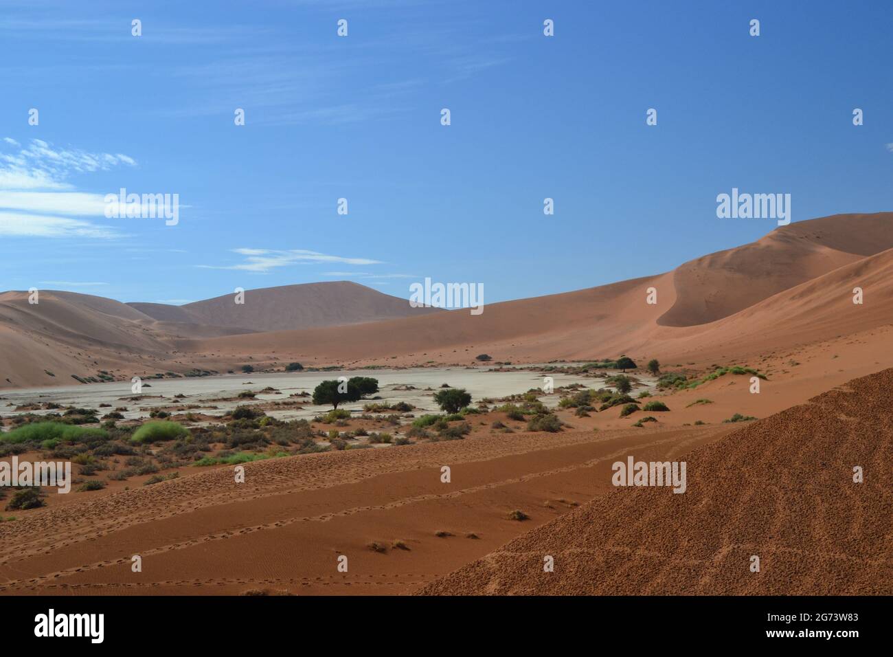 A landscape with trees and a pond in a golden desert under a clear blue ...
