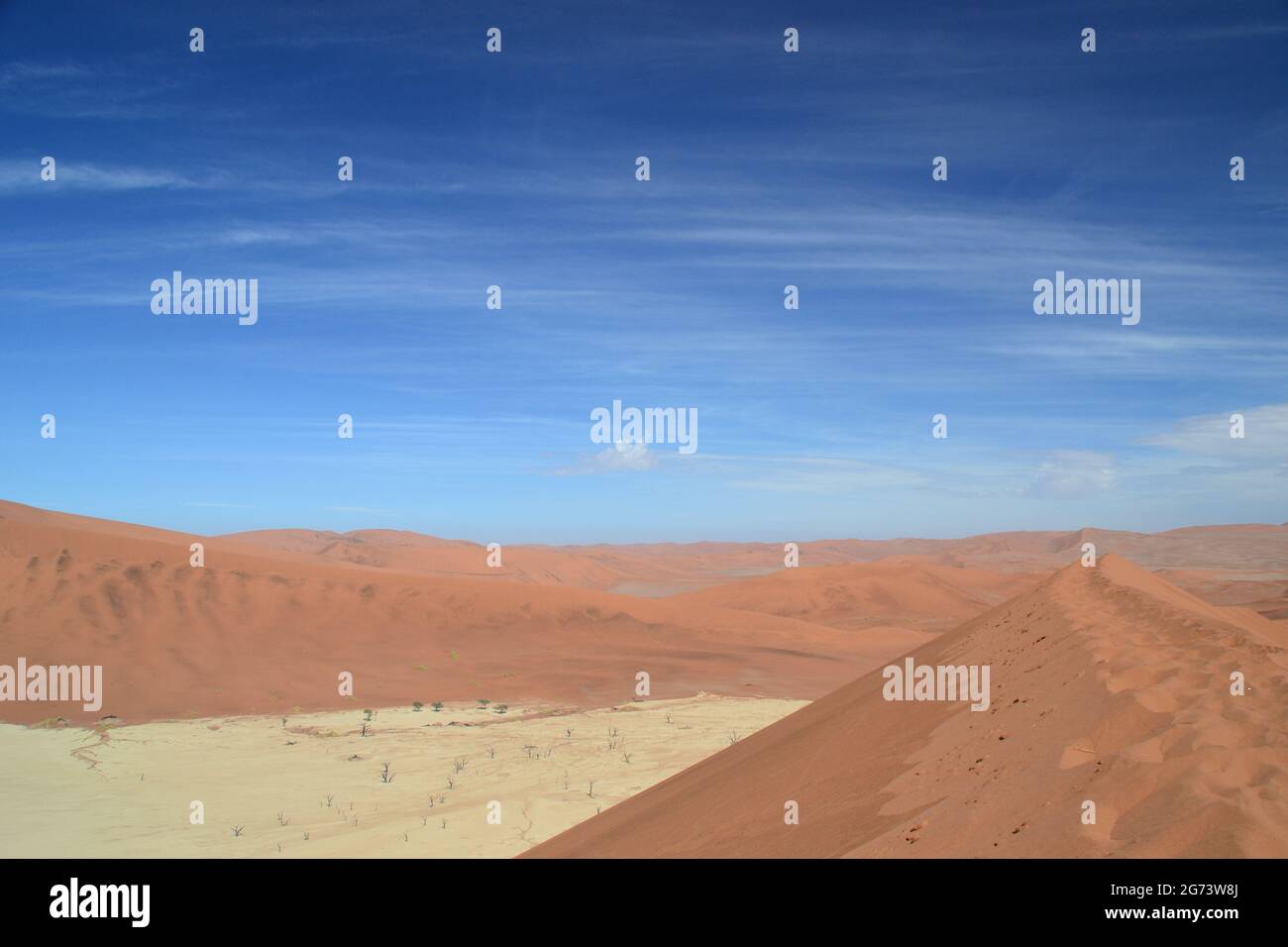 A serene landscape of a golden desert under a clear blue sky in Namibia ...
