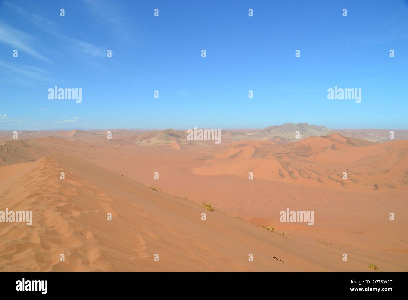 A serene landscape of a golden desert under a clear blue sky in Namibia ...