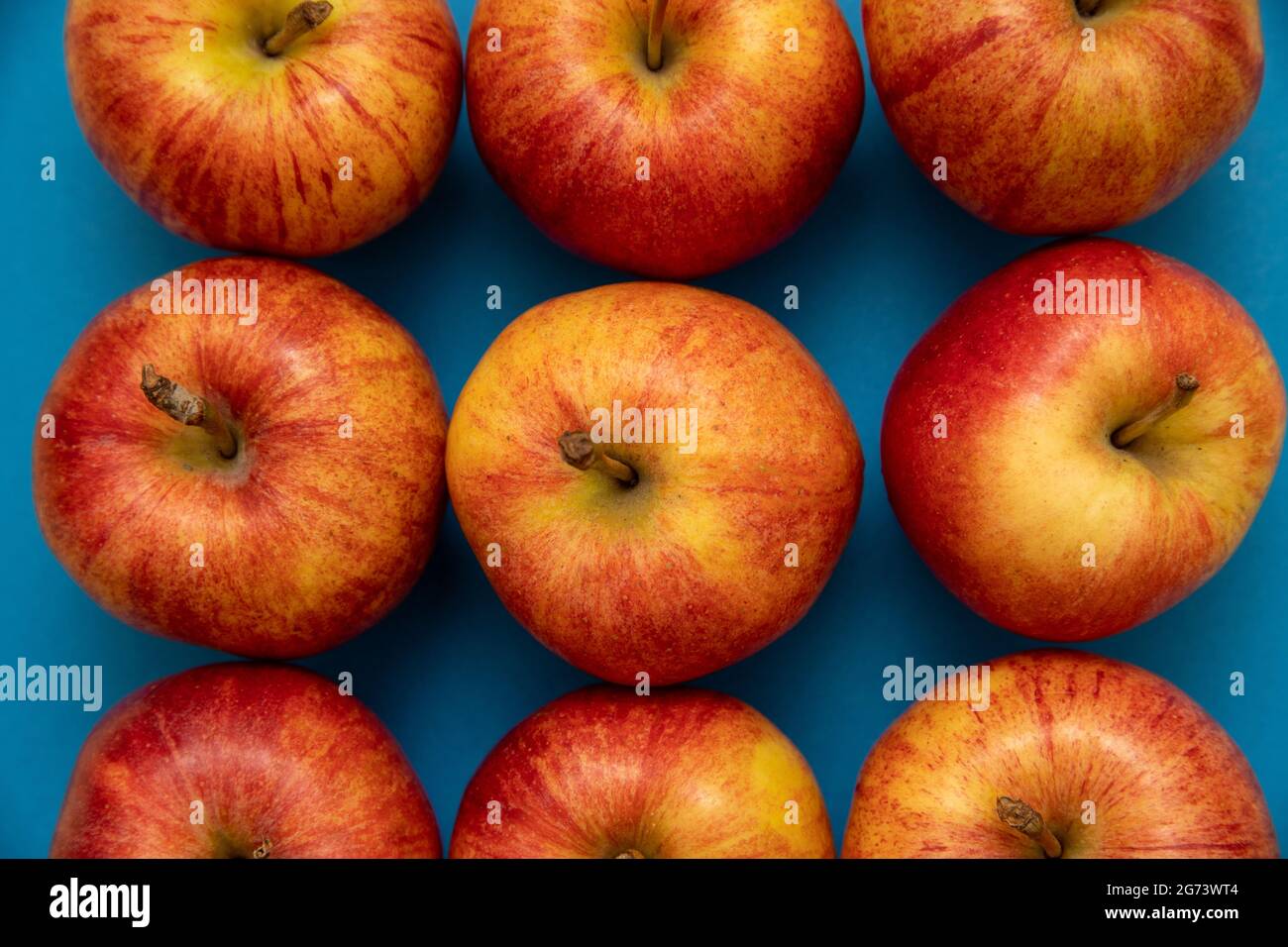 A closeup image of red and yellow apples sorted in a square shape on a ...