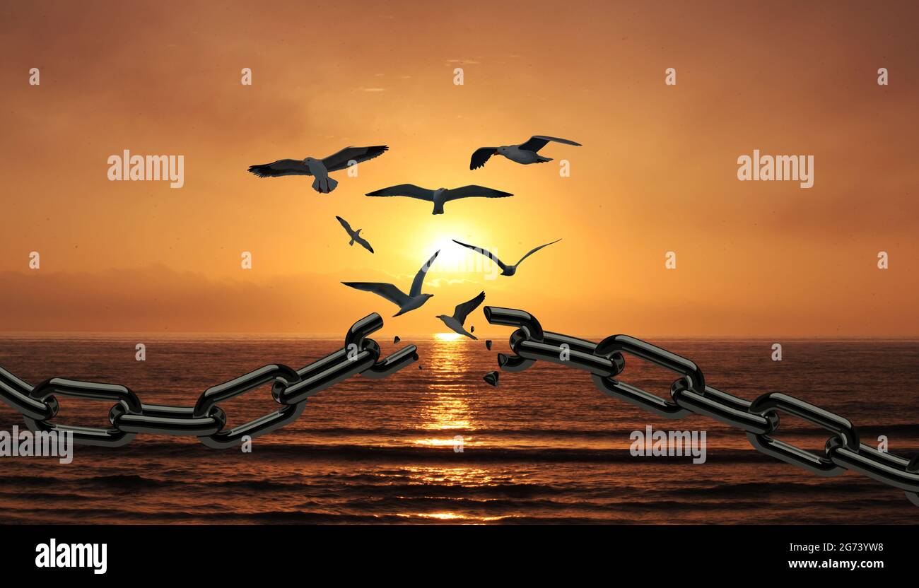 Broken chain bird hi-res stock photography and images - Alamy