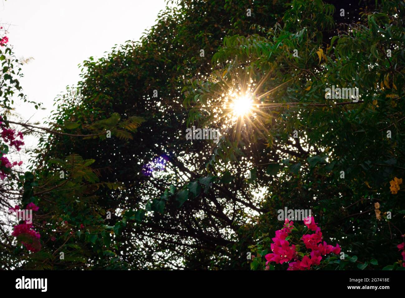 Low angle shot sun between hi-res stock photography and images - Alamy