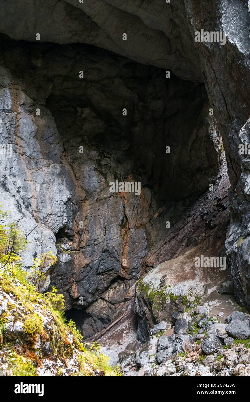 A vertical shot of a small cave in Apuseni Natural Park, Padis, Romania ...