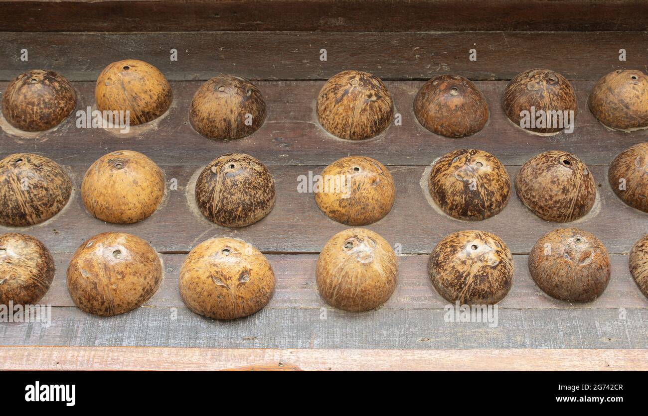 Coconut shell for foot massage, acupressure, health therapy Stock Photo ...