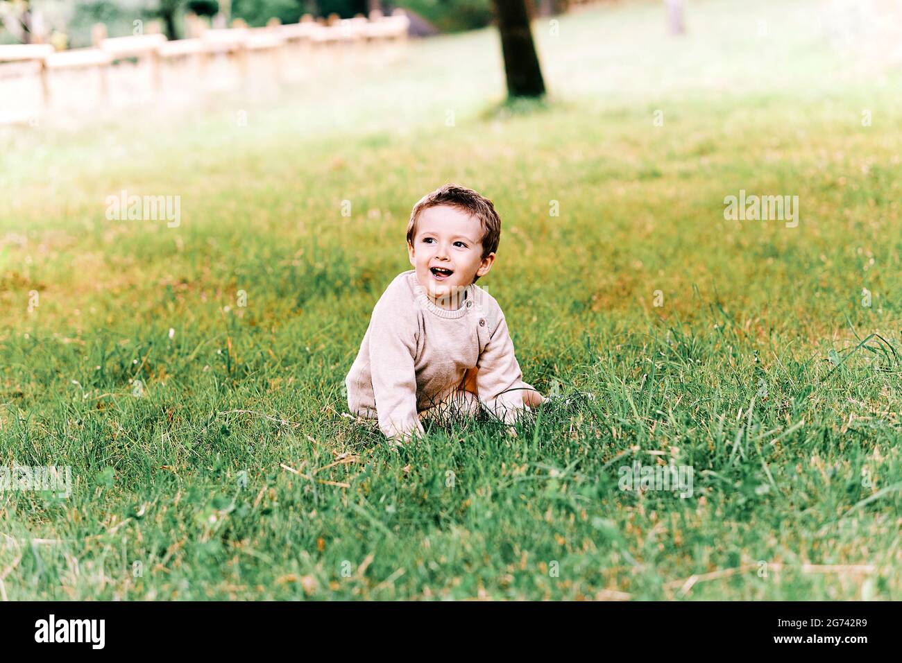 hree-year-old boy playing under the shade of a tree at sunset in summer ...
