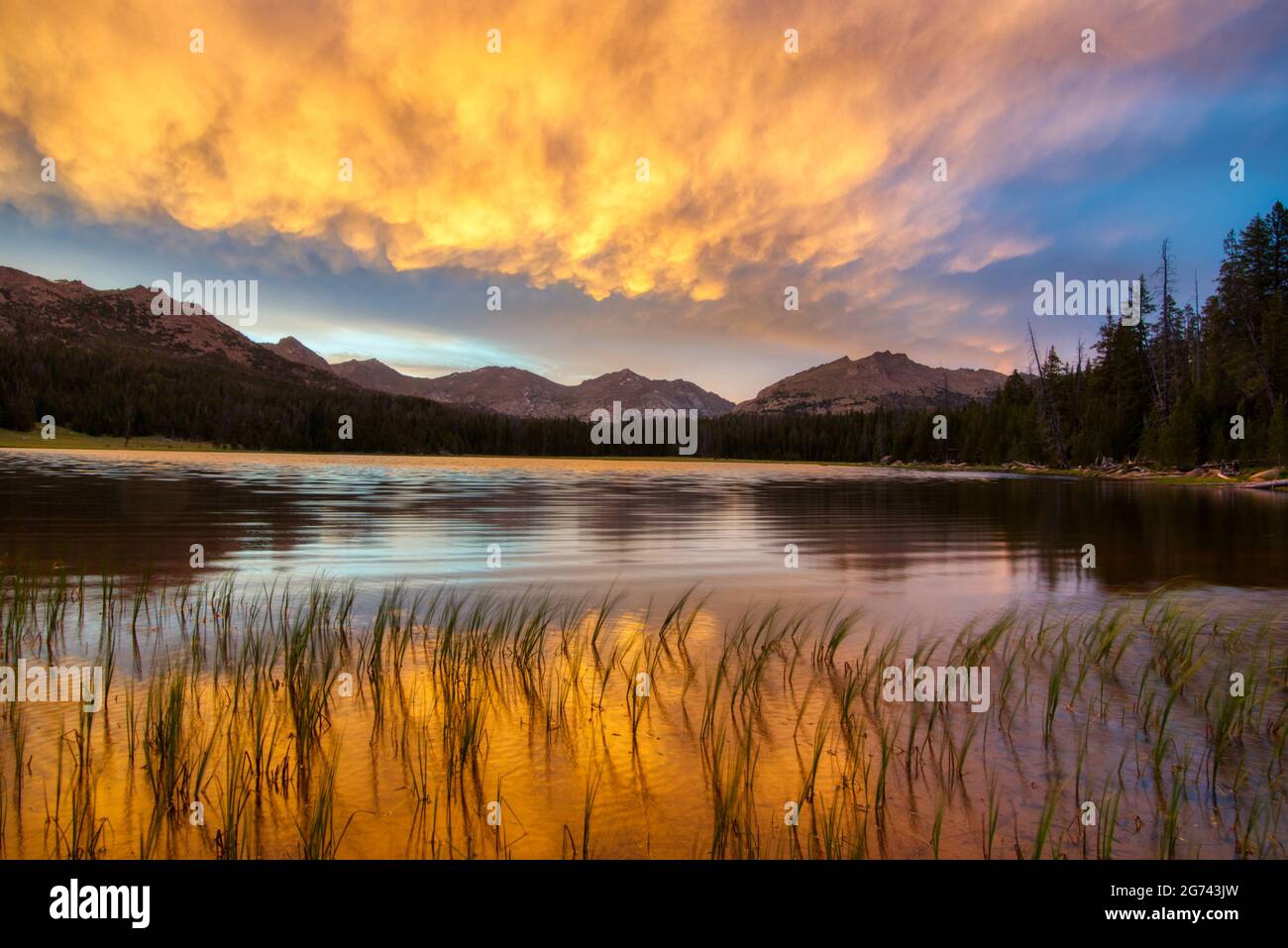 A fire storm like! @ V Lake Stock Photo - Alamy