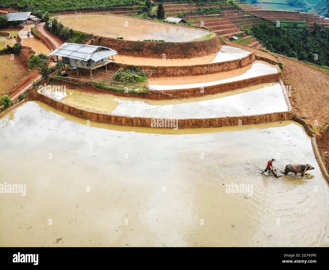 Terraced rice paddies in northern hi-res stock photography and images ...