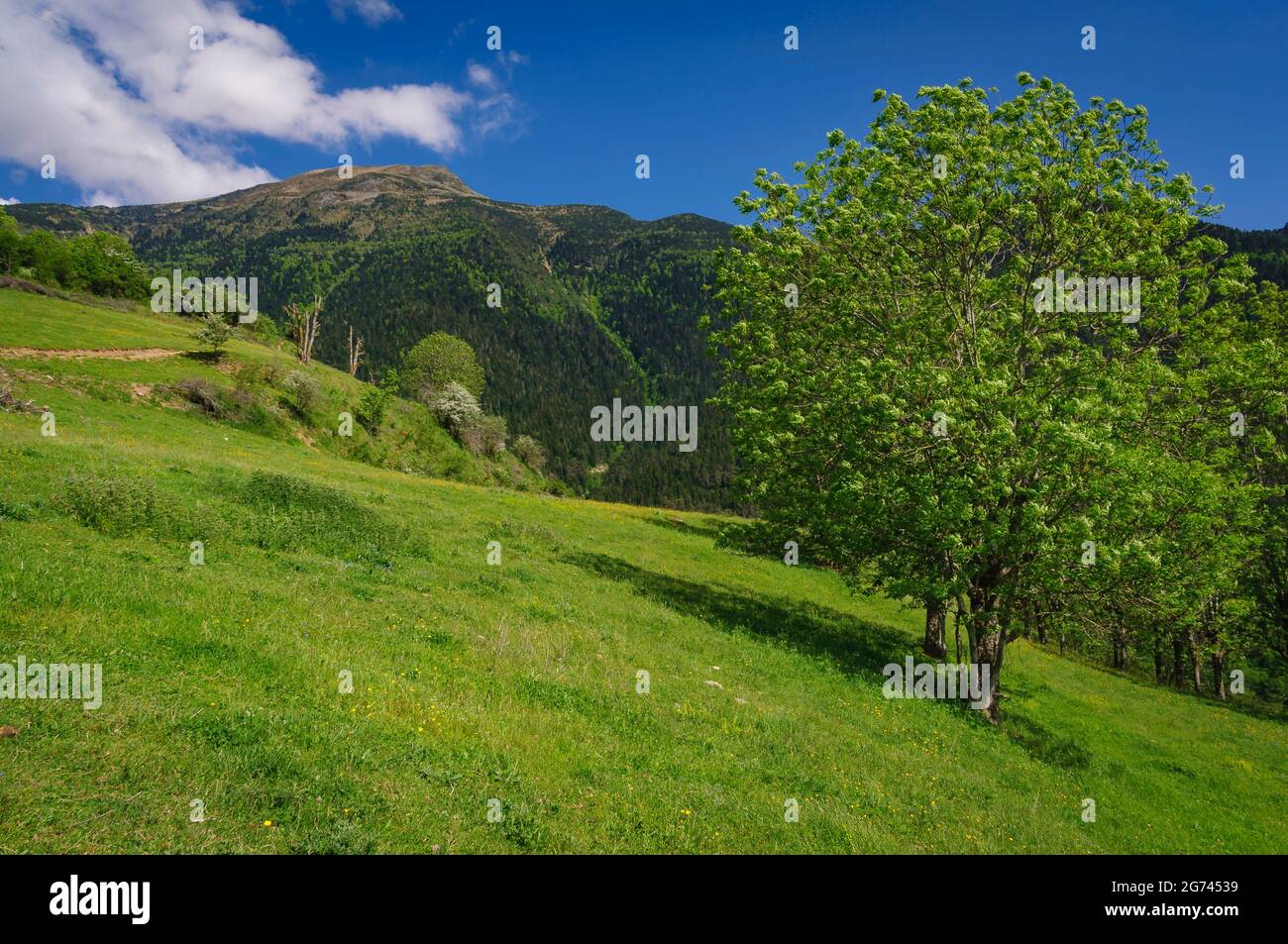 Aran valley and the Mijaran region seen from the village of Mont (Aran ...
