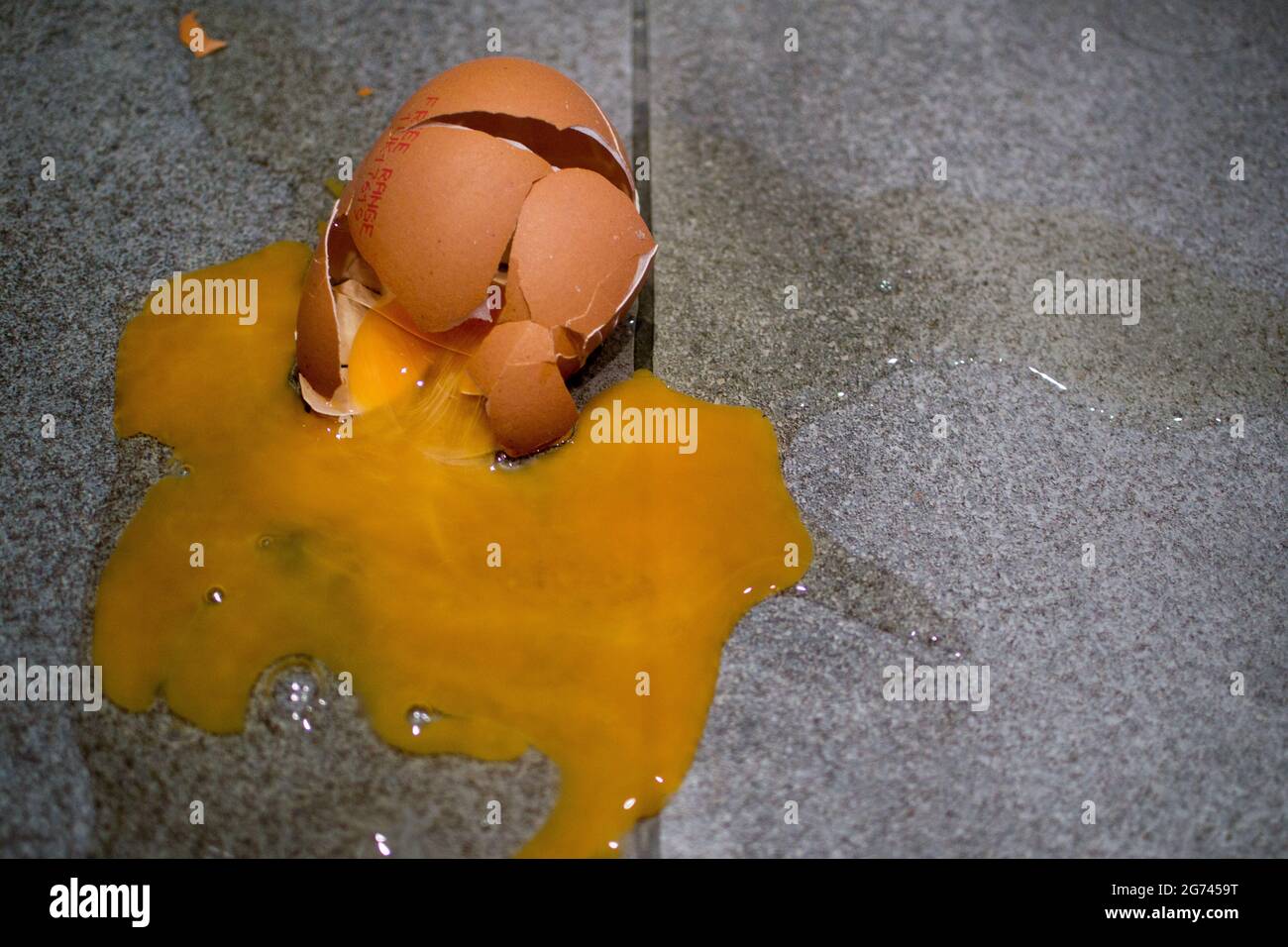 Smashed egg on grey tile floor with cracked and broken shell, egg yolk ...