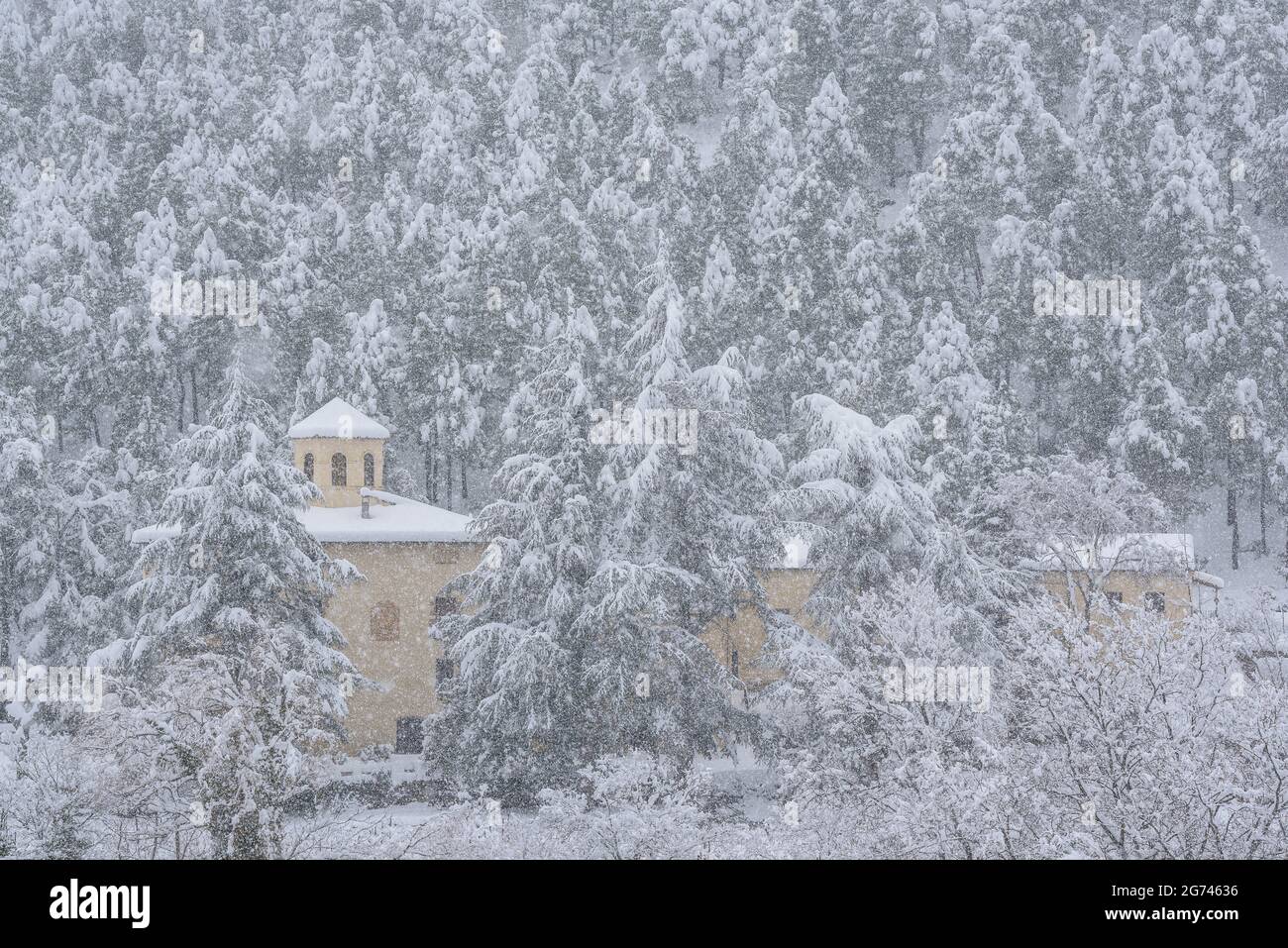 Bosque invernal hi-res stock photography and images - Alamy