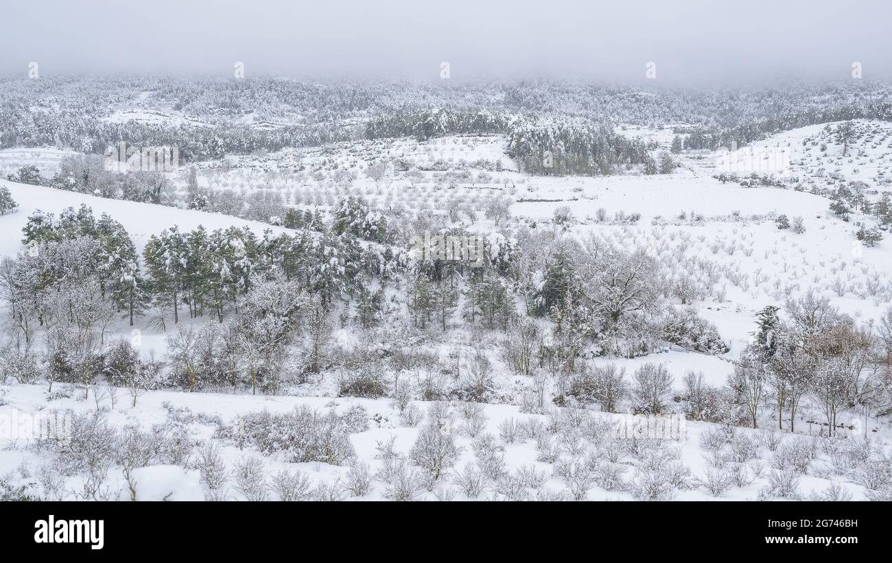 Fruit tree fields and forests near Ulldemolins village during a winter ...