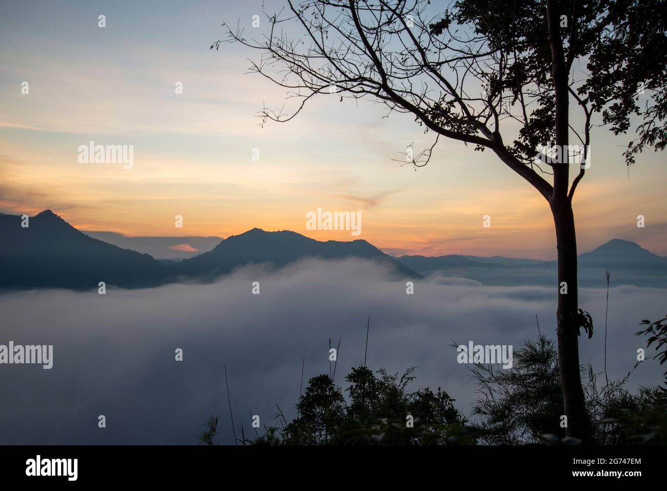 sunrise mist cover mountain background at countryside winter foggy ...