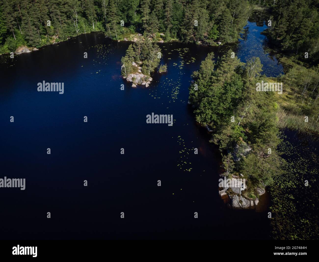 Bird's eye view of a pond, lake with green trees. Aerial, drone nature ...