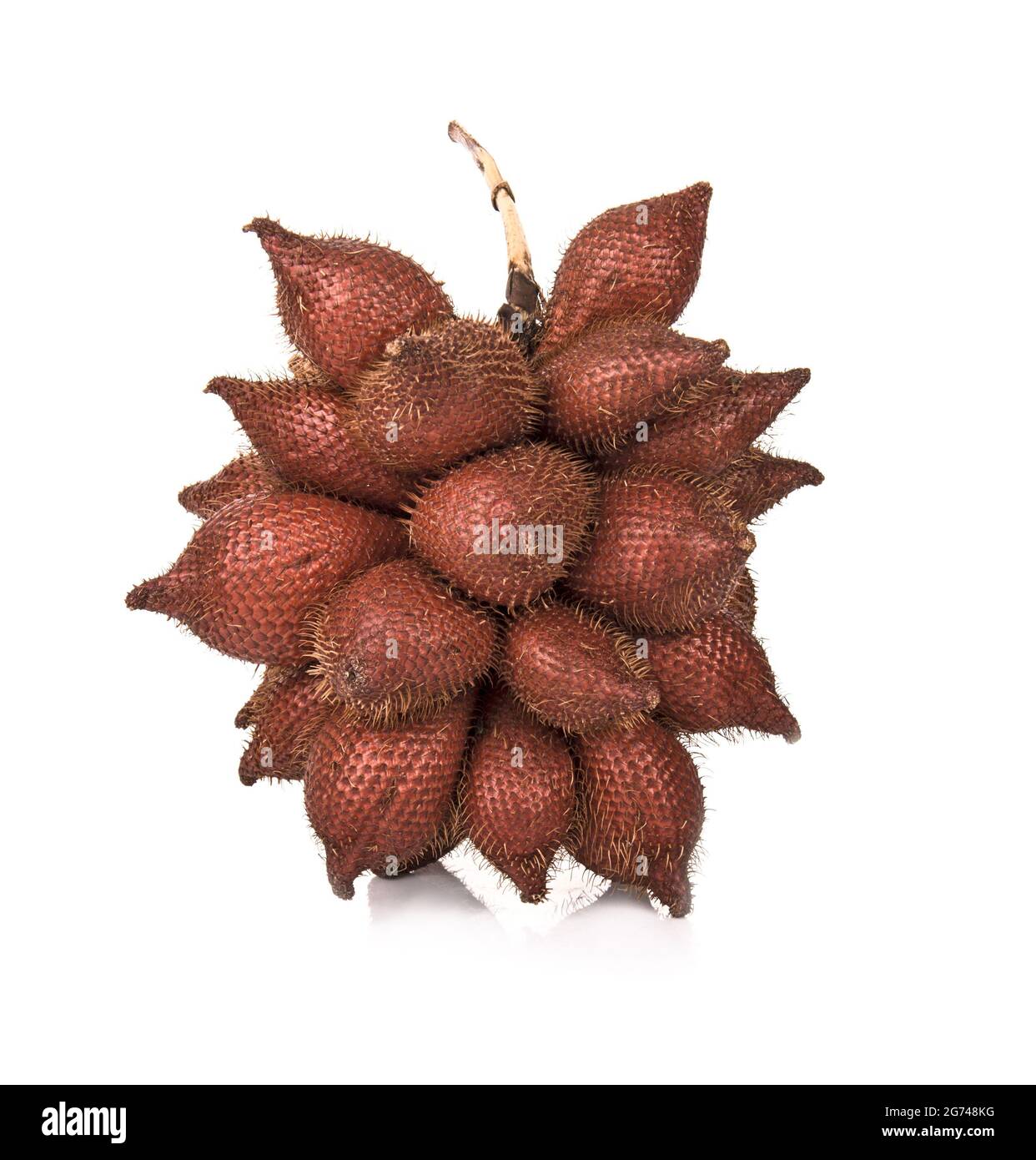 Salak tree hi-res stock photography and images - Alamy
