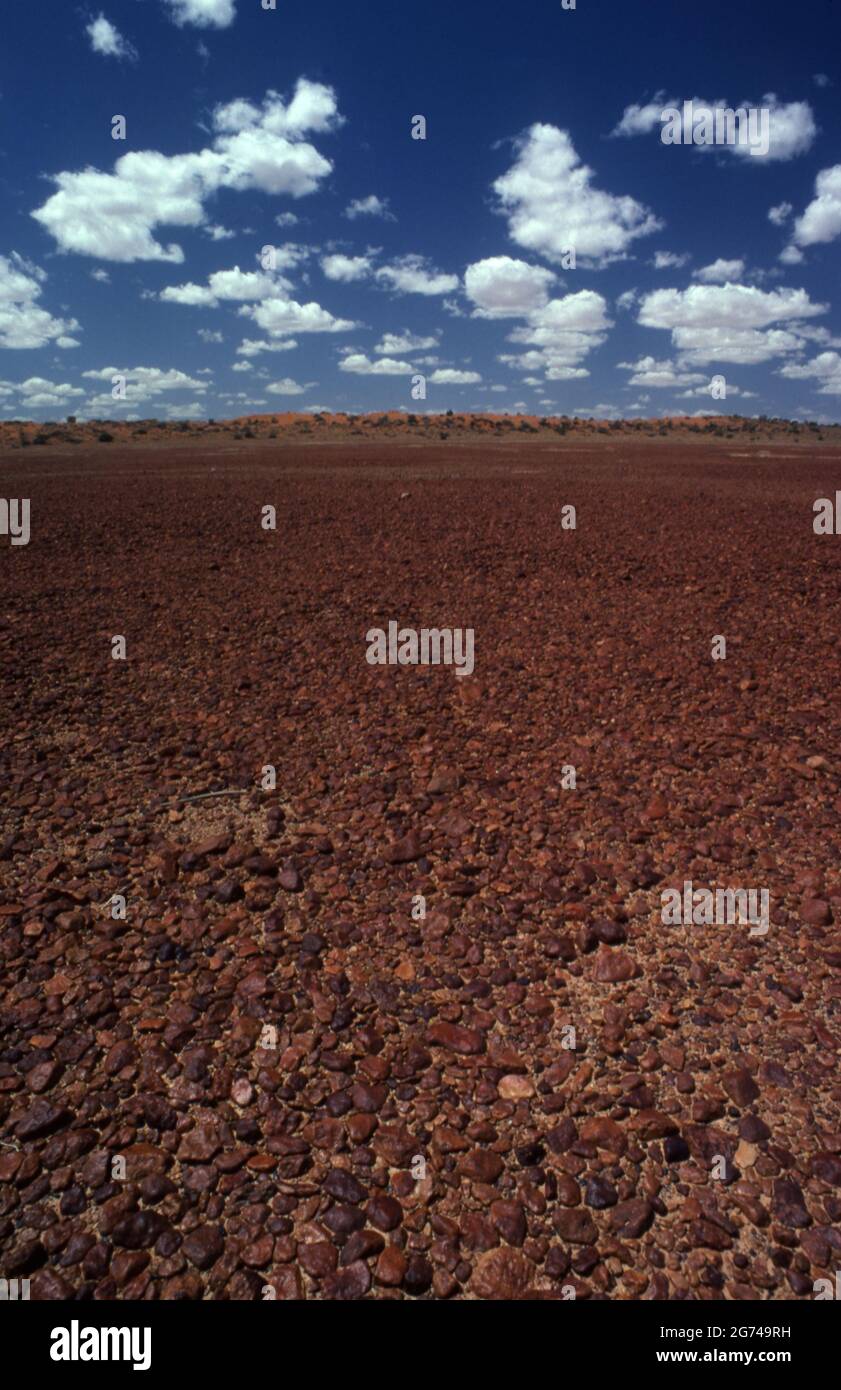 FLOOD PLAIN IN THE STURT STONY DESERT, SOUTH AUSTRALIA. THE DESERT WAS ...