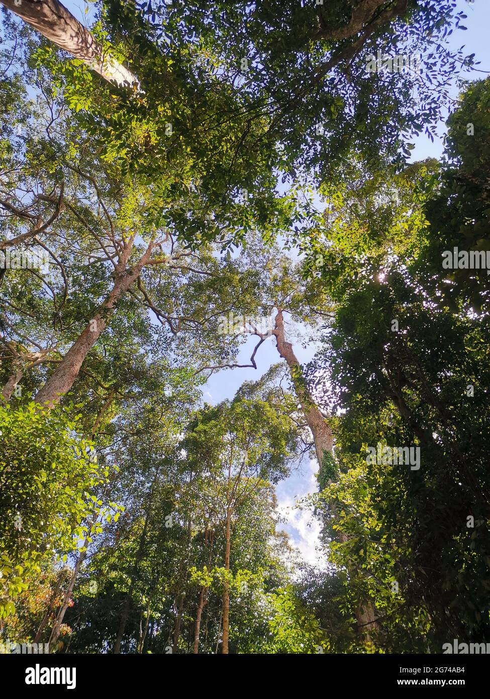 Outdoor overhead canopy hi-res stock photography and images - Alamy